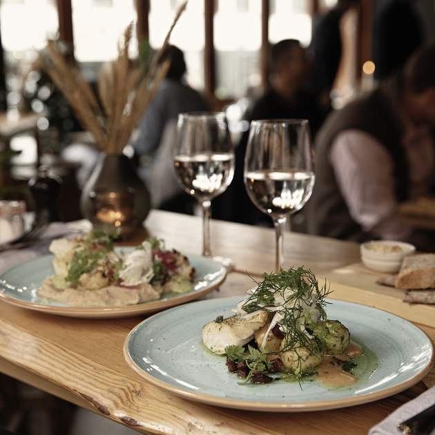 Knut - Visit Stockholm